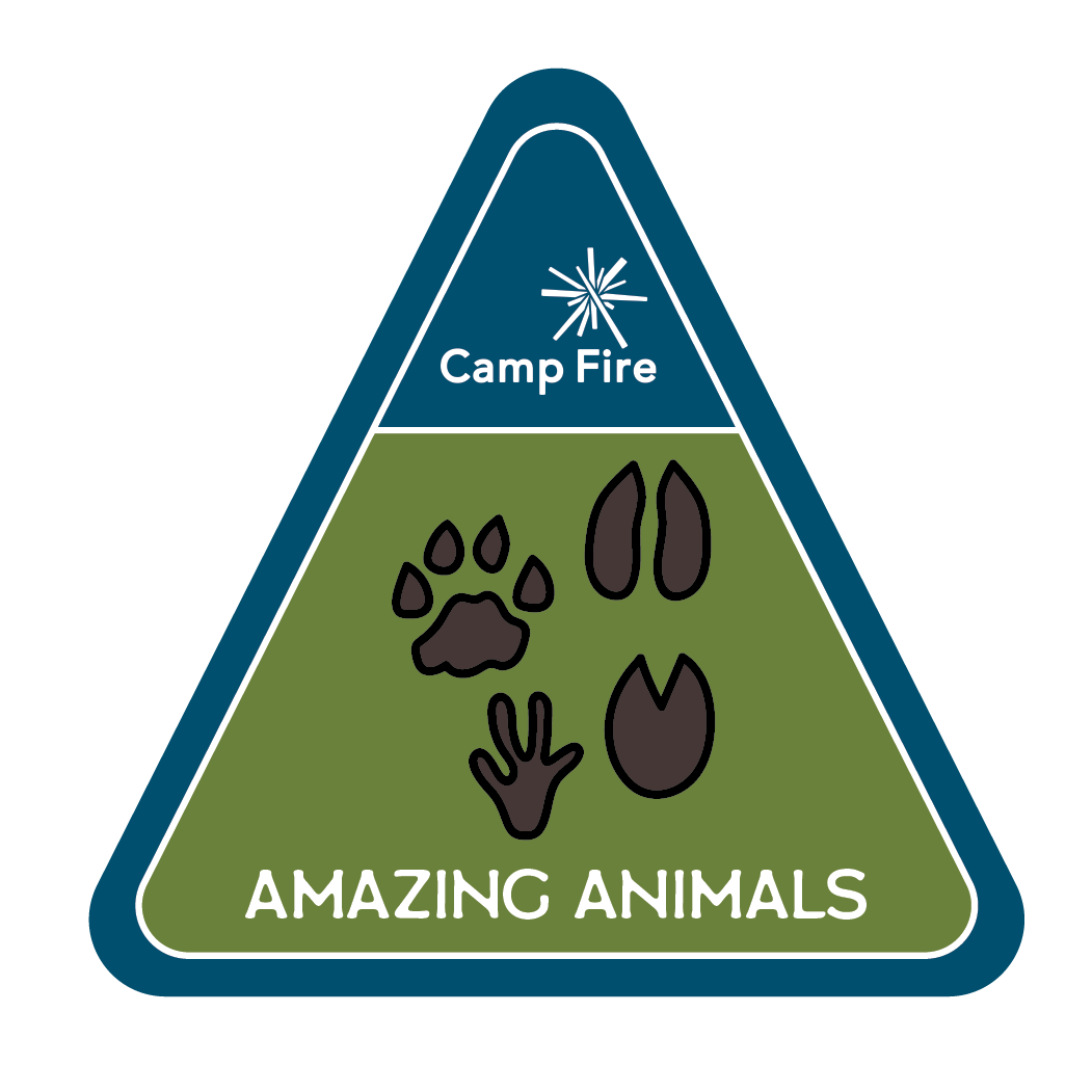 Amazing Animals – Camp Fire Store