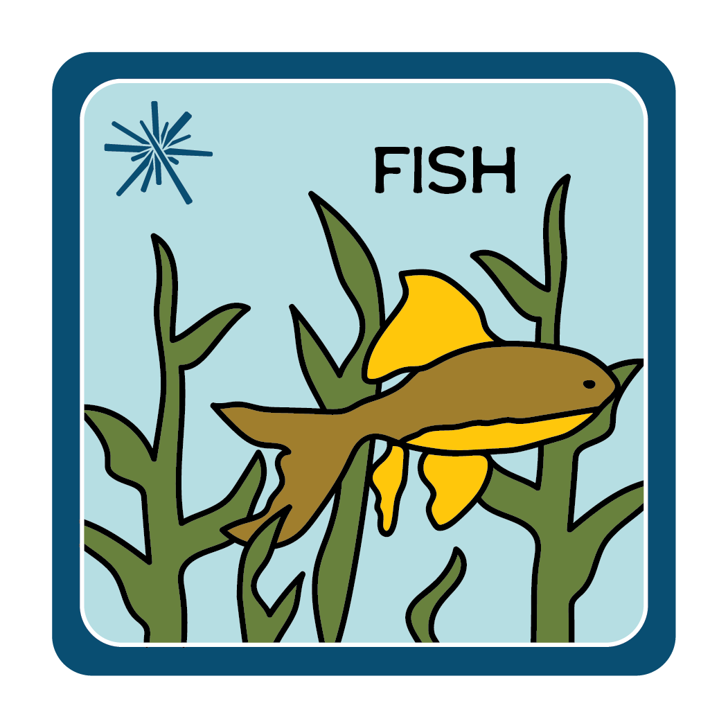 Fish – Camp Fire Store