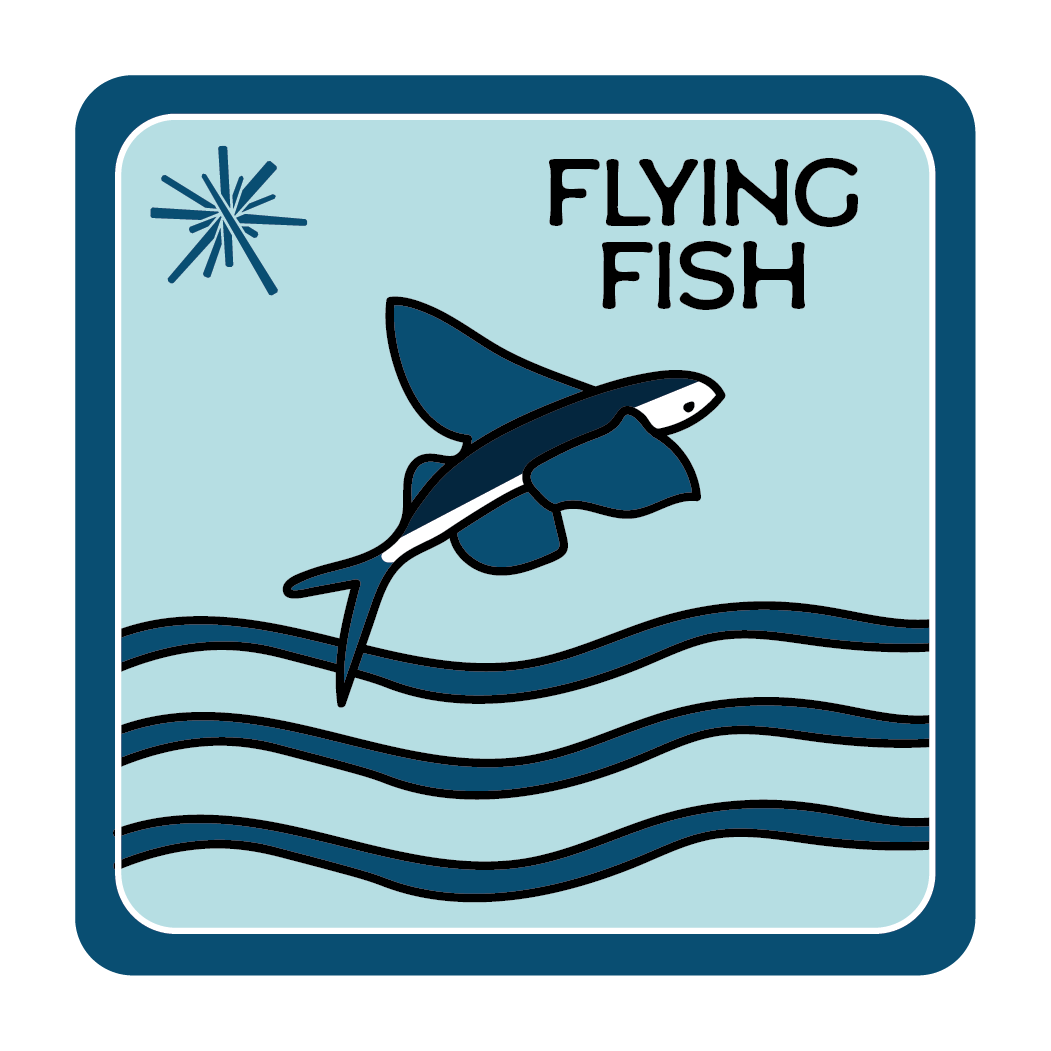 Flying Fish – Camp Fire Store